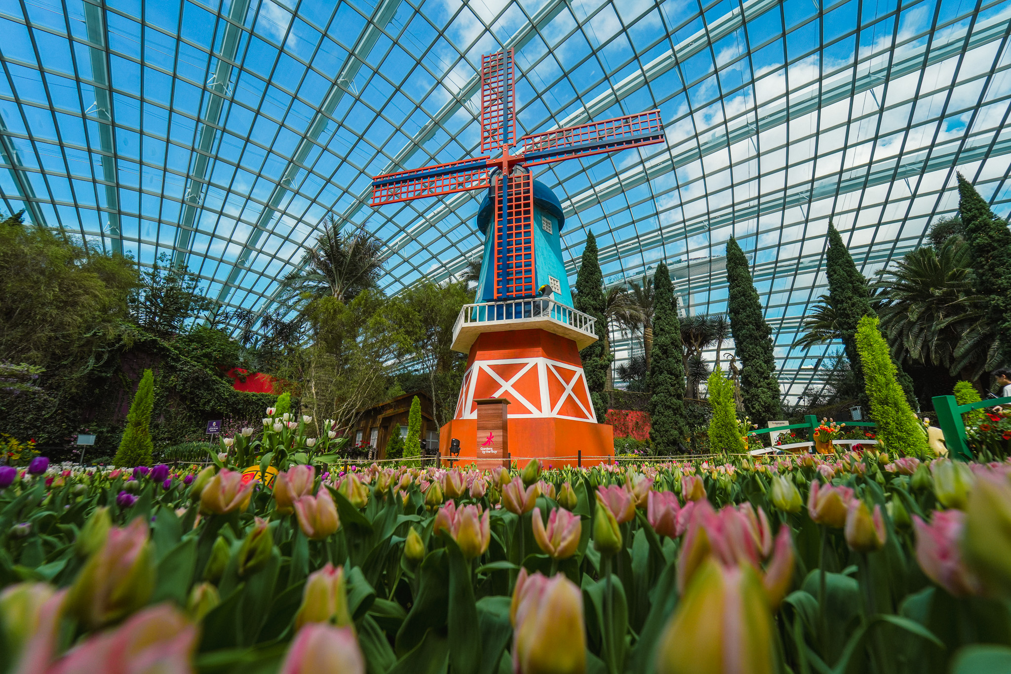 Tulipmania At Gardens By The Bay In Singapore - Little Steps